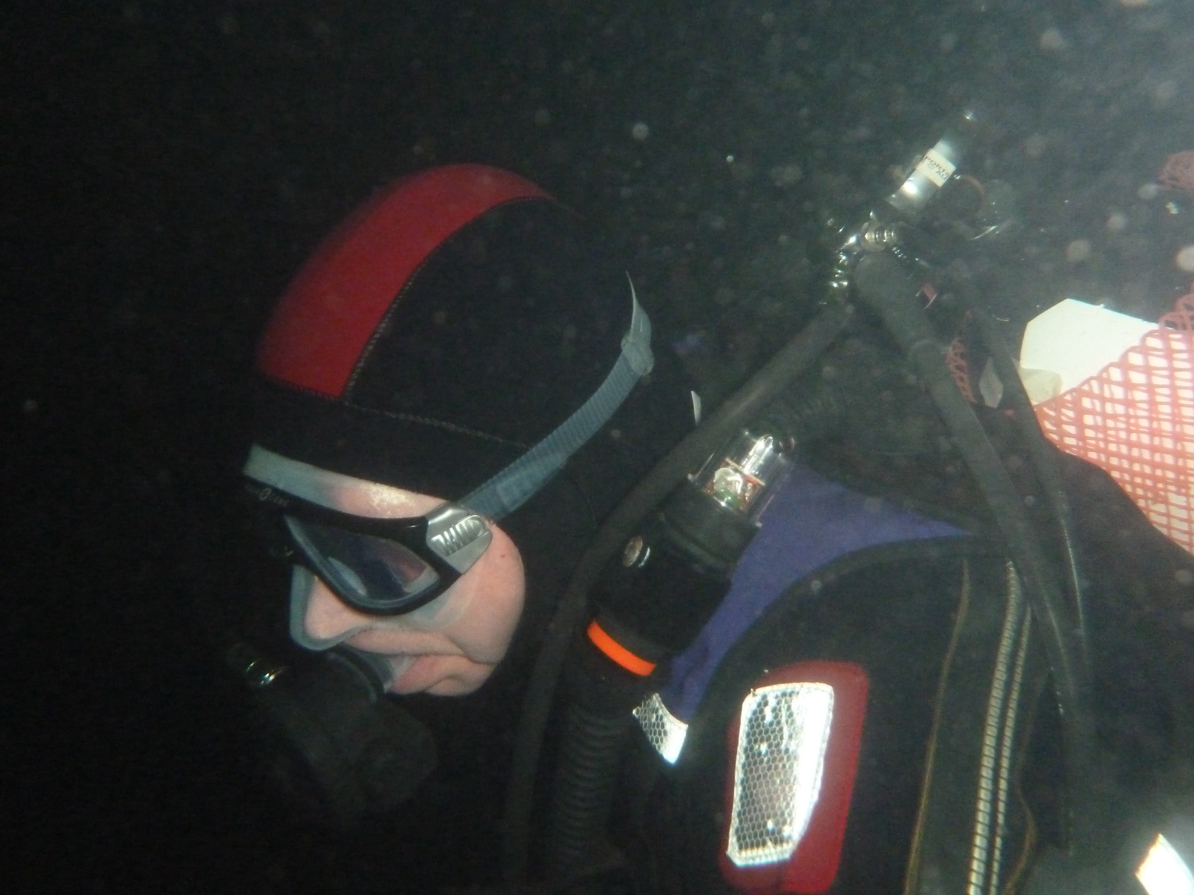 Perth BSAC Diving Club, Scotland - Fun & learning Since 1983
